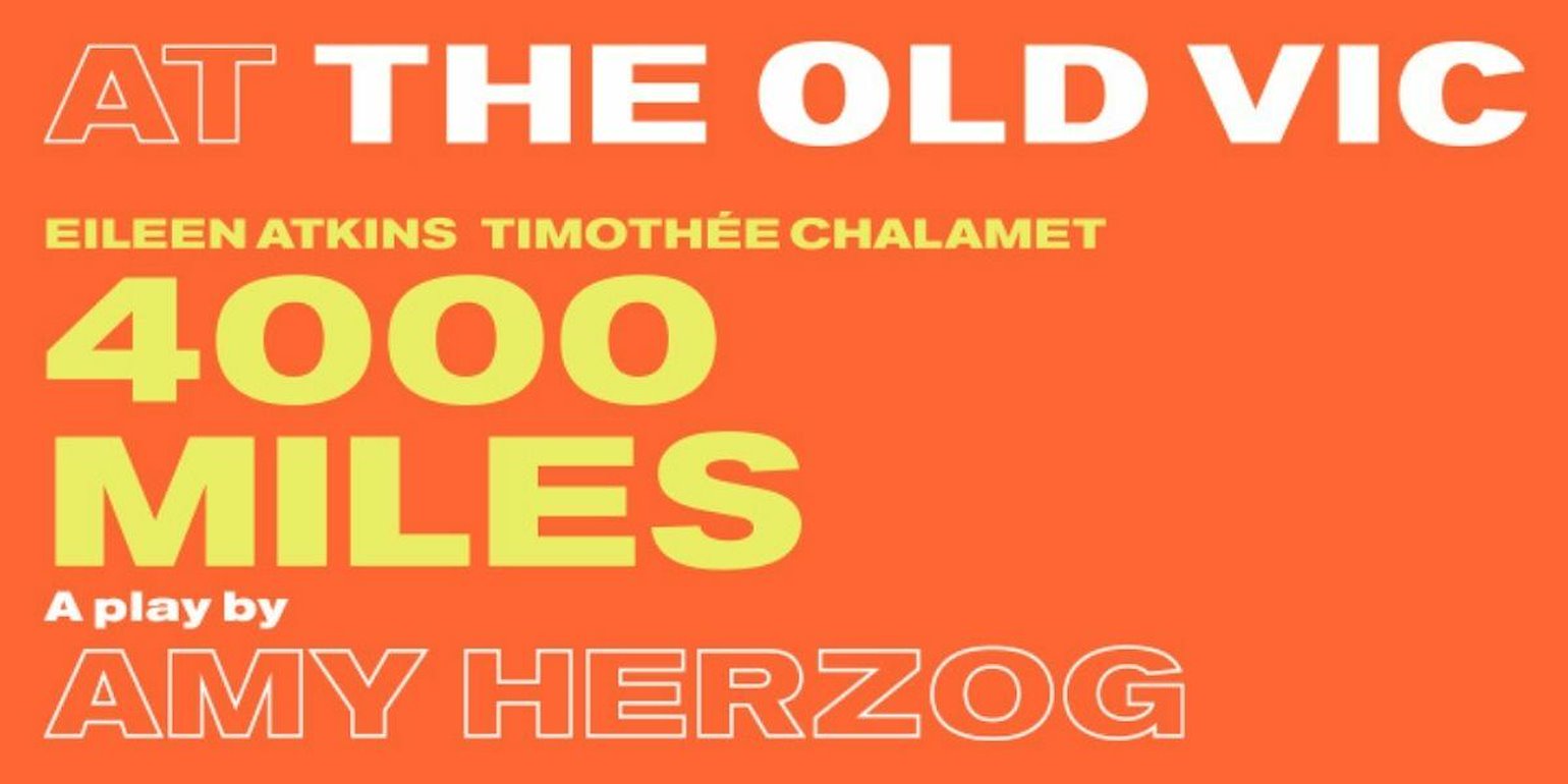 Volle Besetzung von 4000 Miles kündigte an, sich Timothée Chalamet und ...