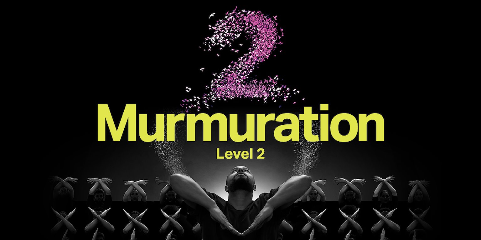 Murmuration Level 2 Tickets | London Theatre Direct