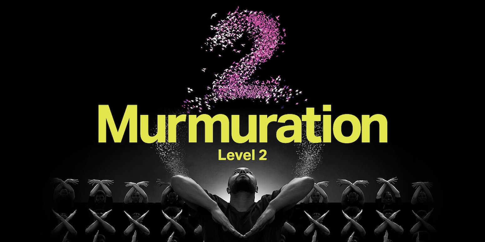 Murmuration Level 2 Tickets | London Theatre Direct